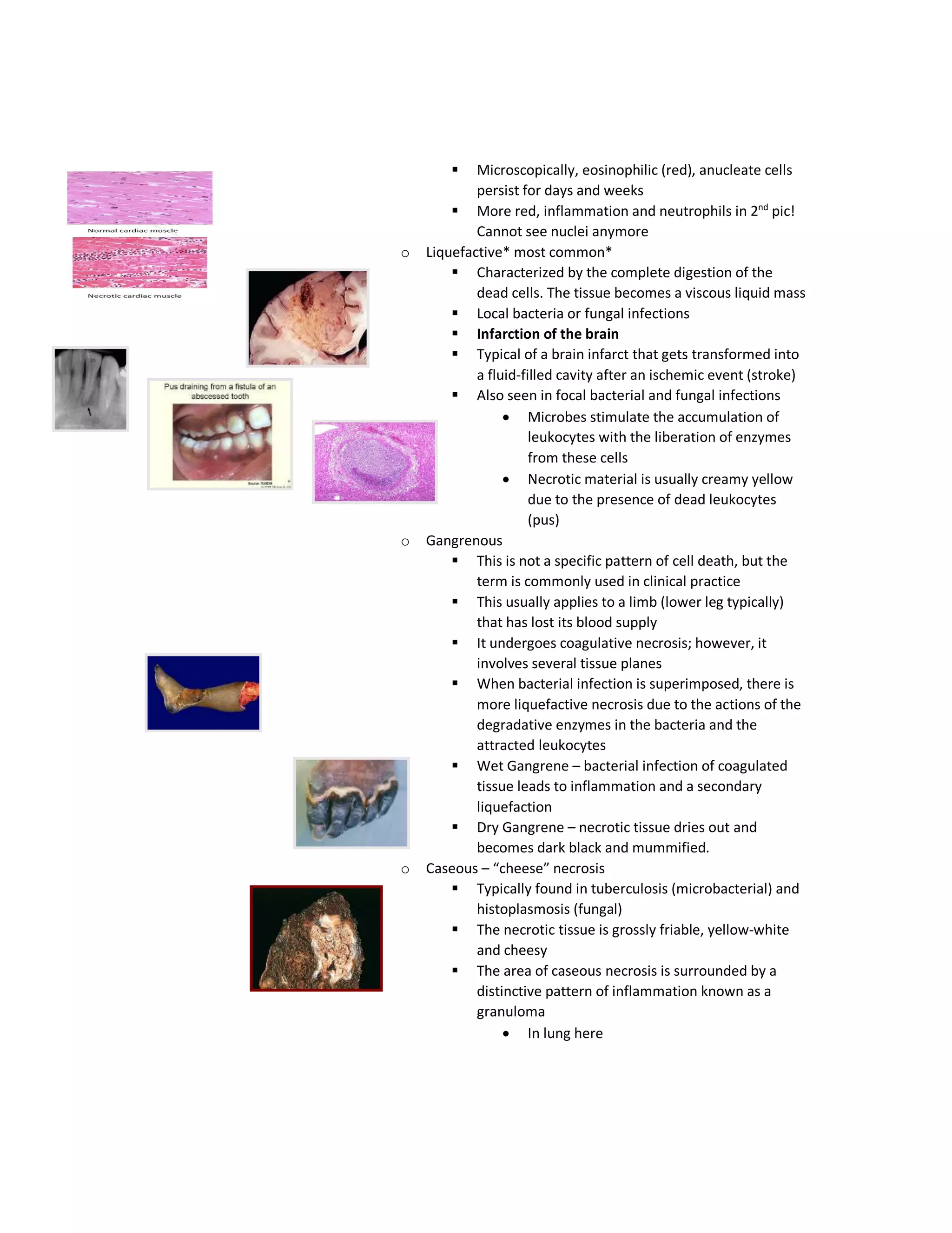 general-pathology-lecture-notes-1-12.pdf
