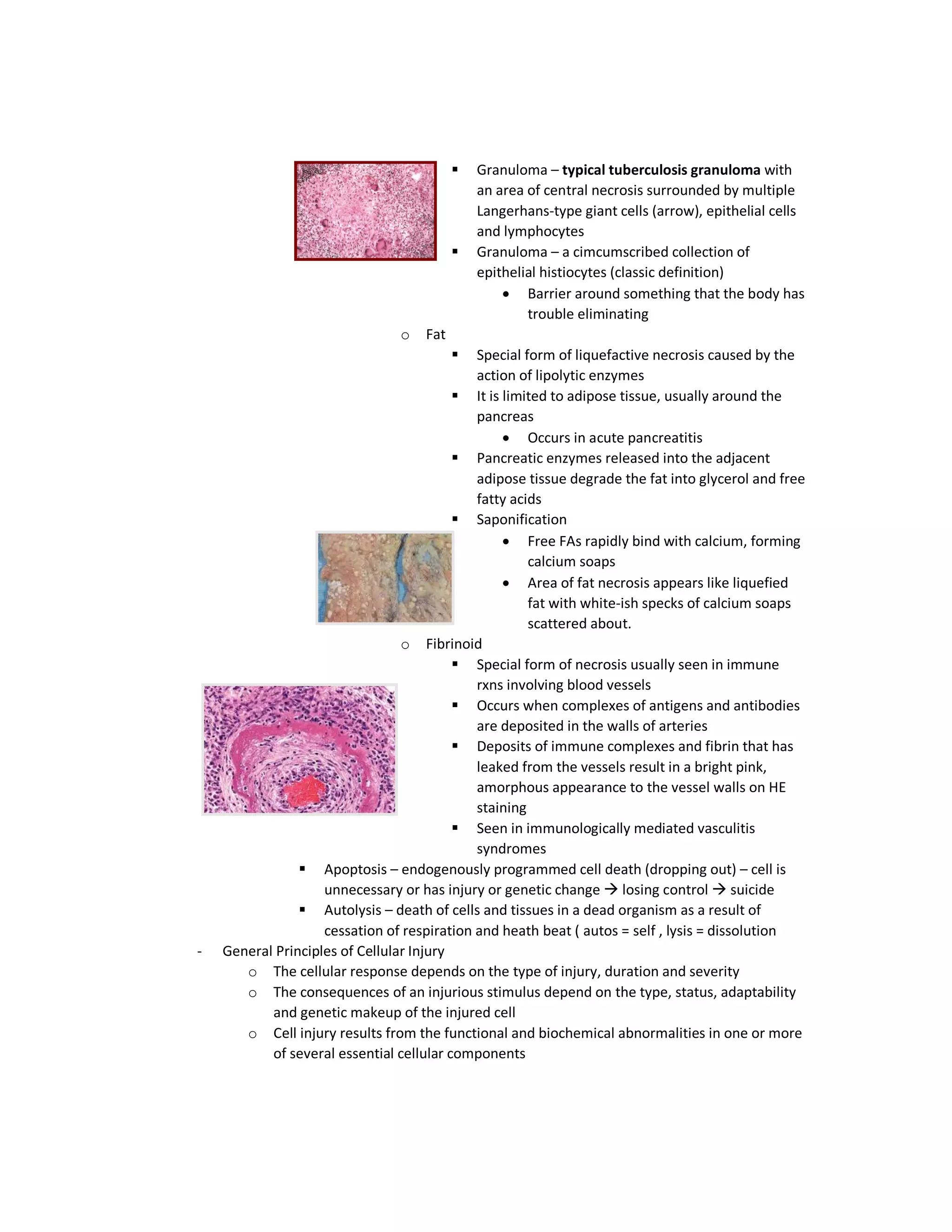 general-pathology-lecture-notes-1-12.pdf