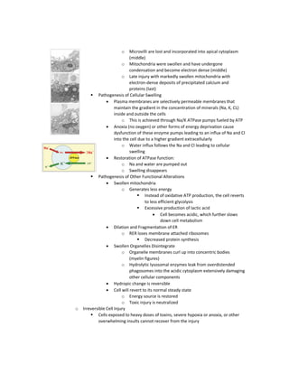 general-pathology-lecture-notes-1-12.pdf