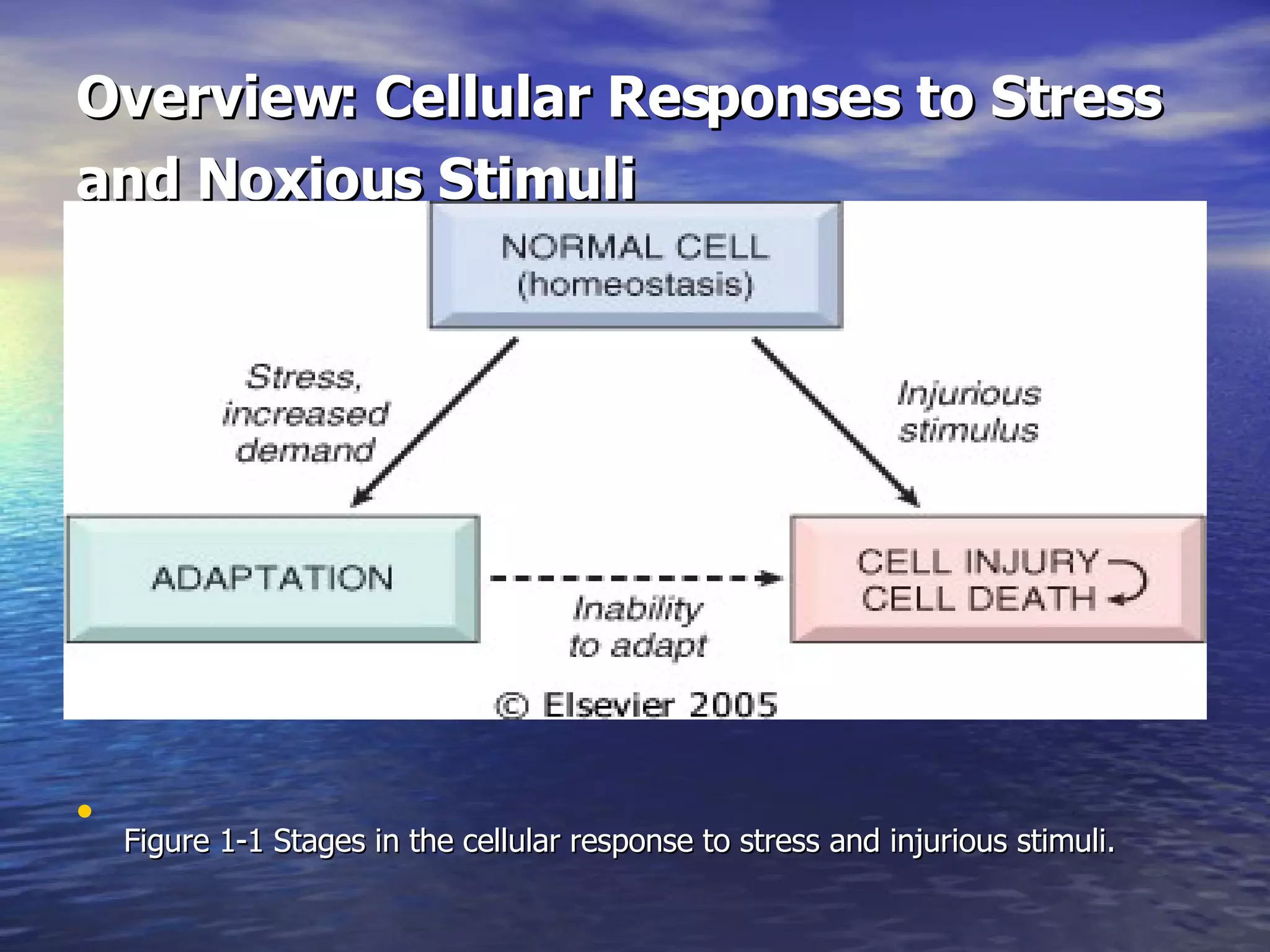General Pathology Review | PPT