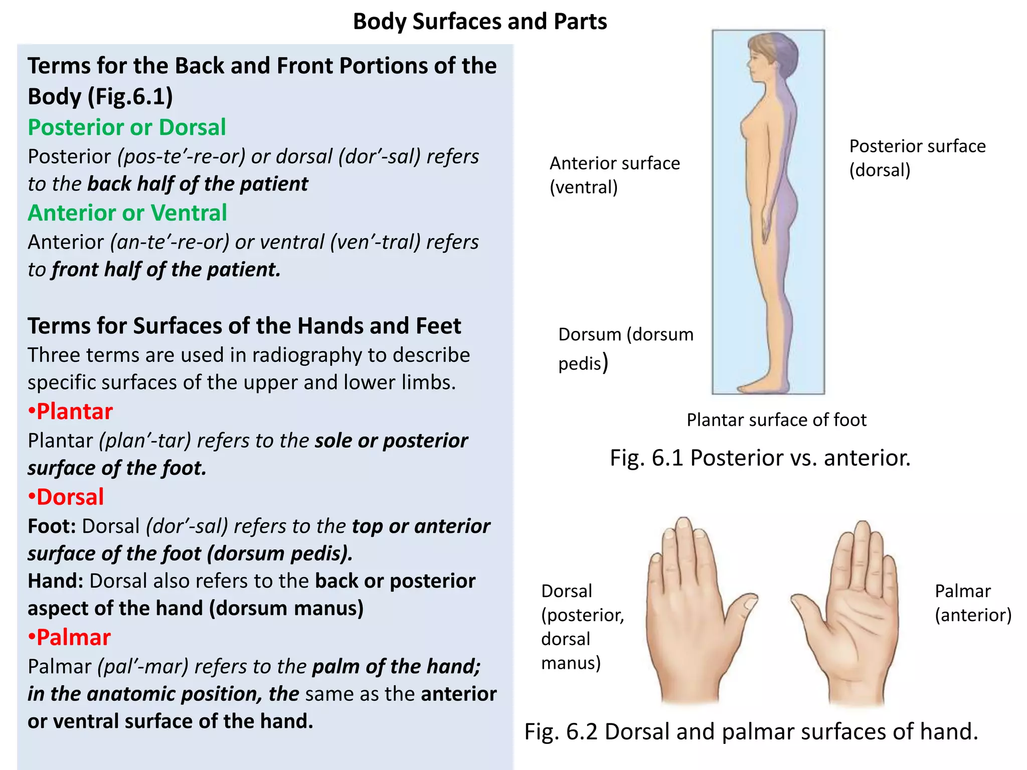 General radiological-procedure | PPTX