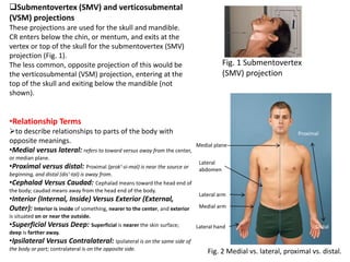 General radiological-procedure | PPTX