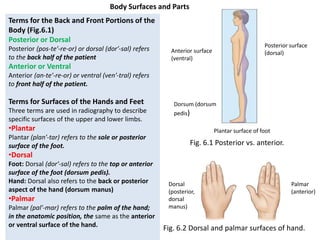 General radiological-procedure | PPTX
