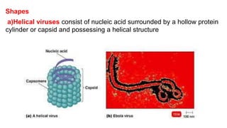 General account of virus | PPTX