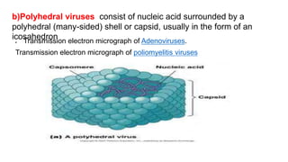 General account of virus | PPTX