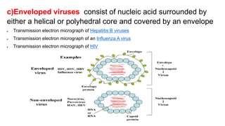 General account of virus | PPTX