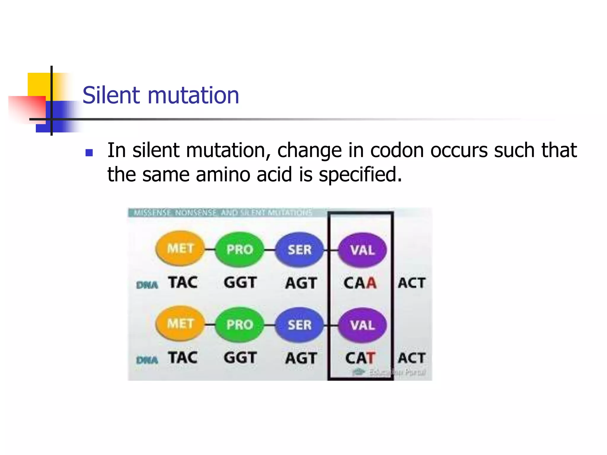 General account on Mutation and its types.ppt