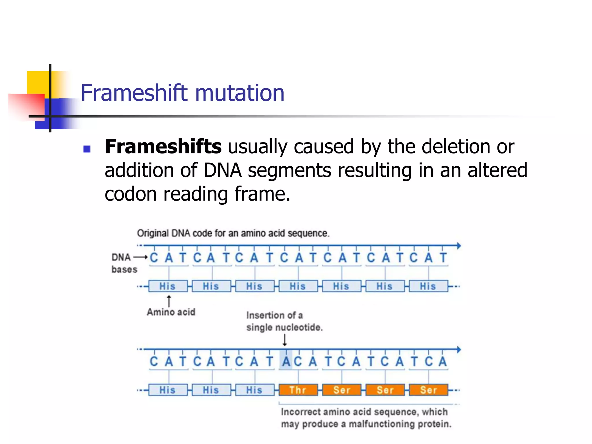 General account on Mutation and its types.ppt