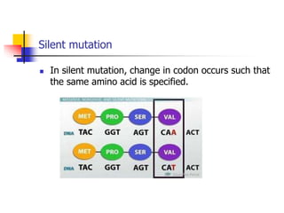 General account on Mutation and its types.ppt