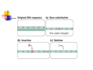 General account on Mutation and its types.ppt