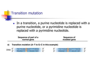 General account on Mutation and its types.ppt