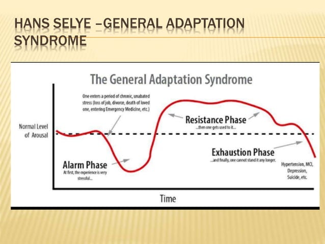 General adaptation syndrome