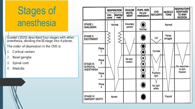 General anaesthesia, anindya