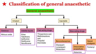 General anaesthetic | PDF