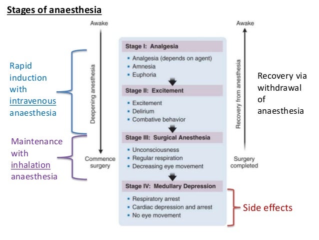 An introduction to general anaesthesia