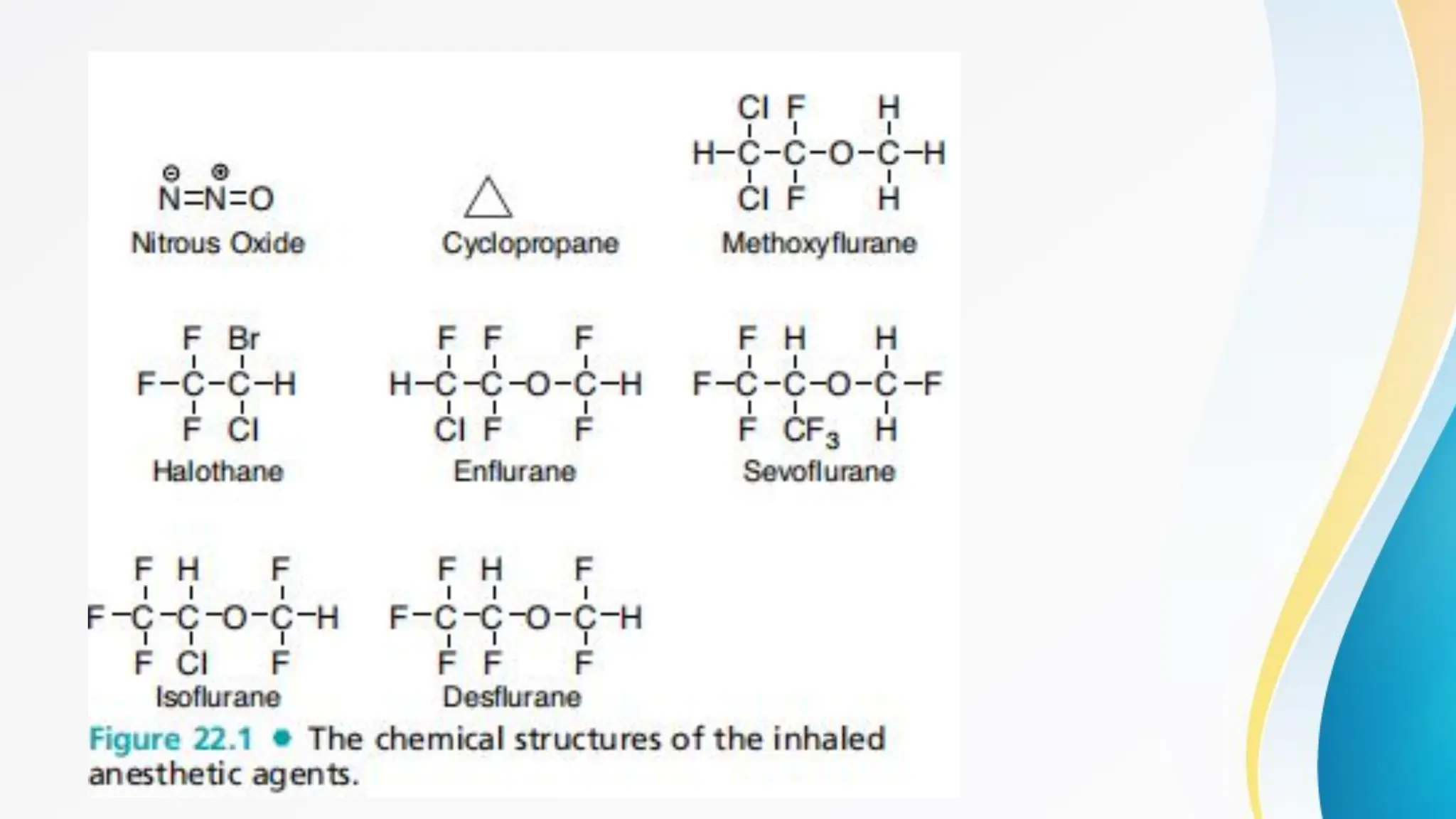 General Anesthetics Pdf Medicinal Chemistry | PDF