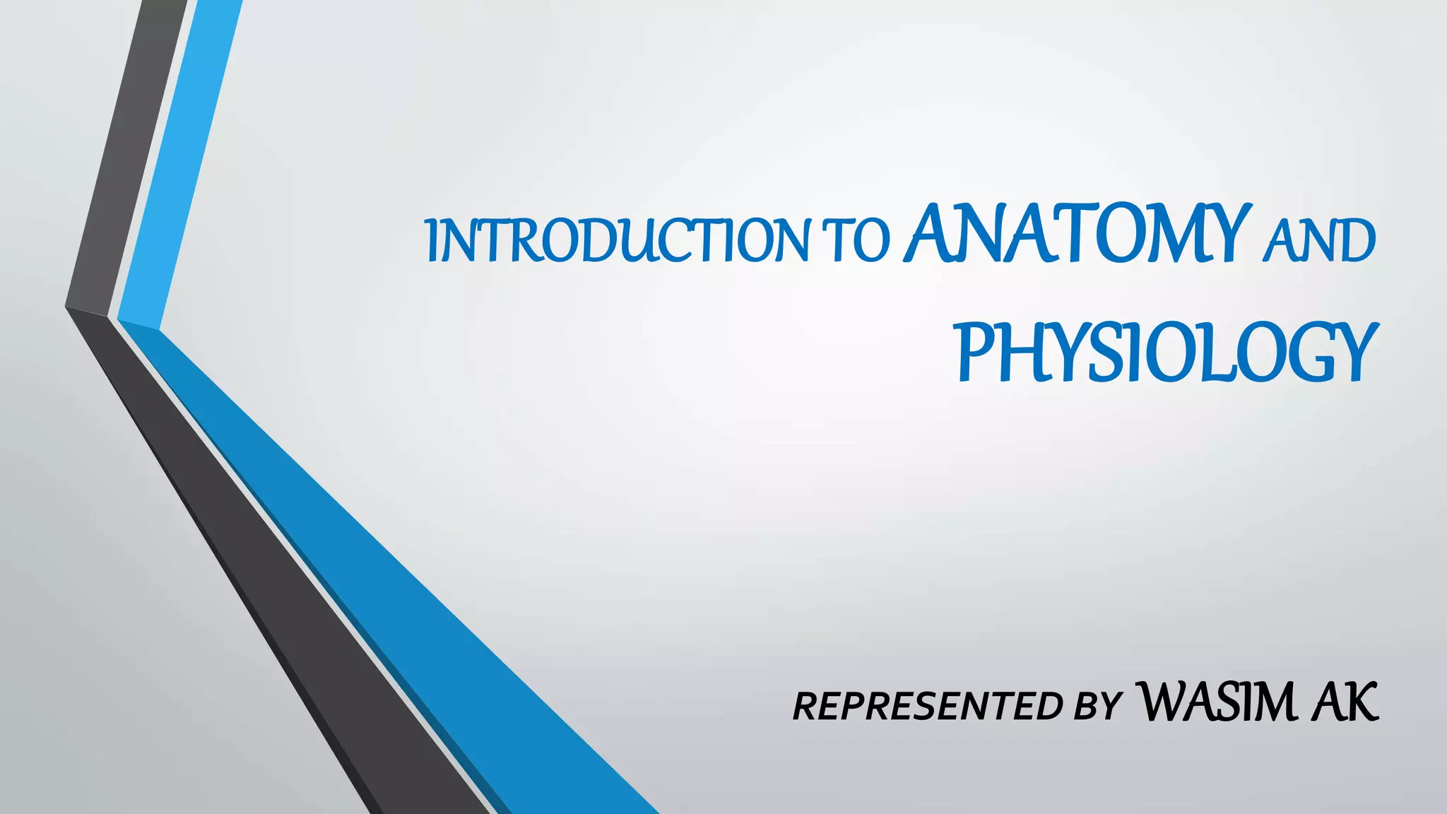 Introduction to Anatomy & Physiology | PPTX | Lung and Respiratory ...