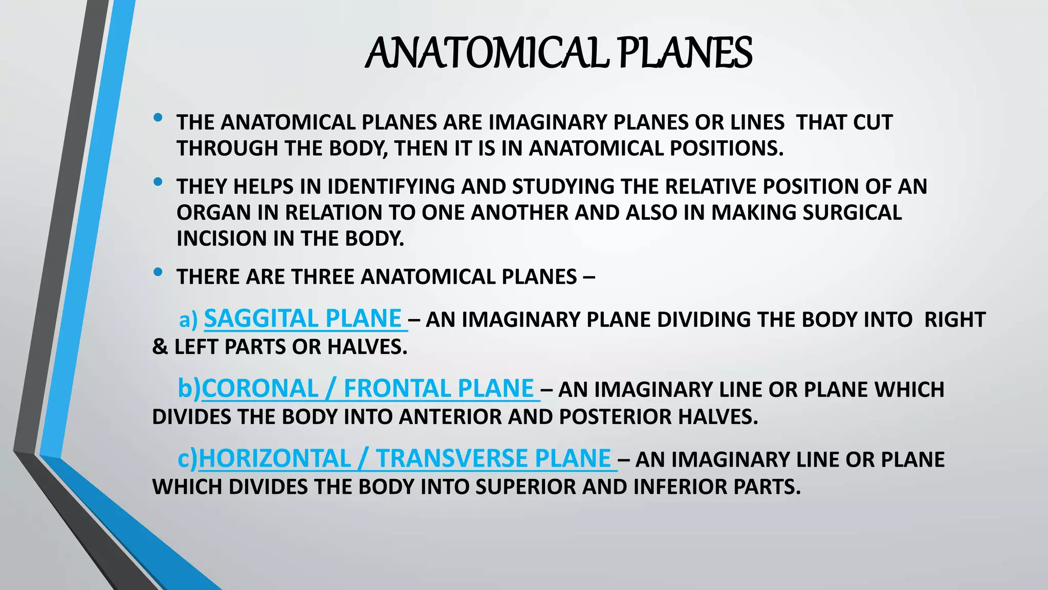 Introduction to Anatomy & Physiology | PPTX | Lung and Respiratory ...