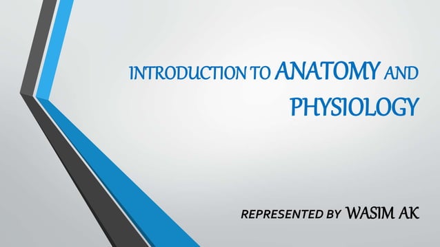 Introduction to Anatomy & Physiology | PPT