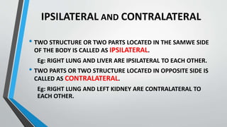 Introduction to Anatomy & Physiology | PPTX | Lung and Respiratory ...