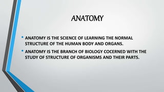 Introduction to Anatomy & Physiology | PPTX