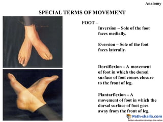 General anatomy 1 pathshalla | PPTX