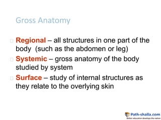 General anatomy 1 pathshalla | PPTX