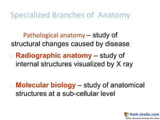 General anatomy 1 pathshalla | PPTX | Foot Health | Diseases and Conditions
