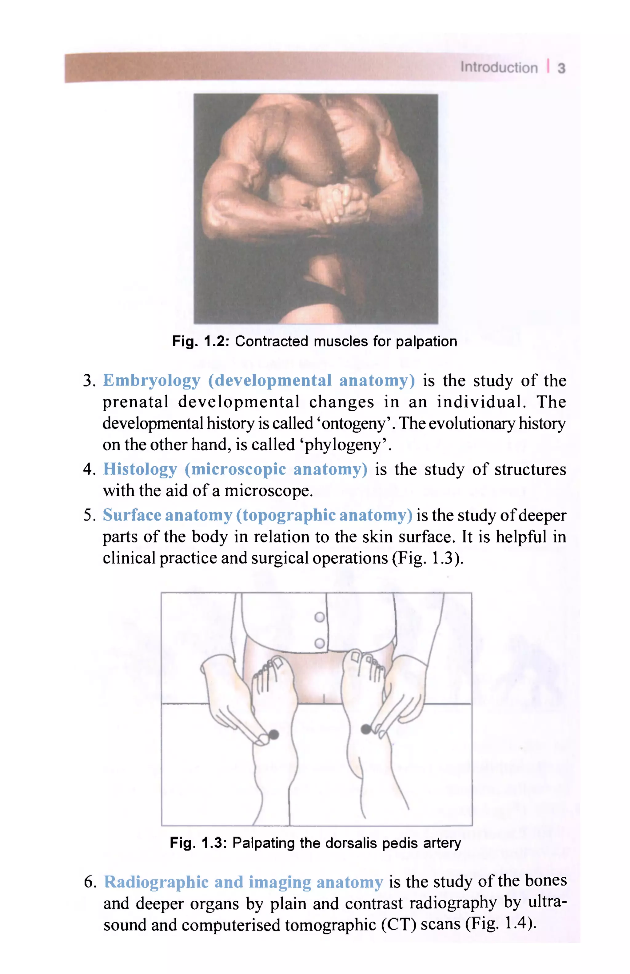 General anatomy | PDF
