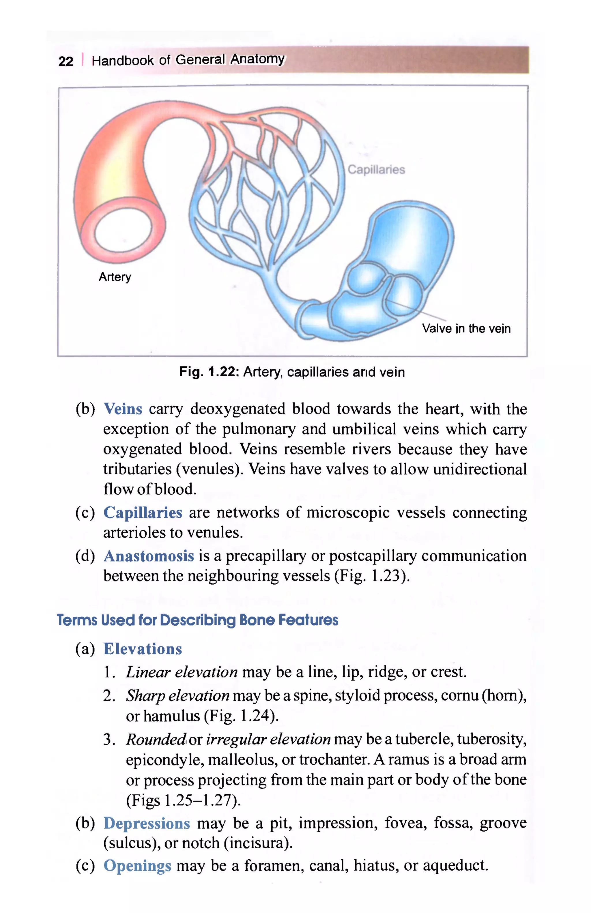 General anatomy | PDF