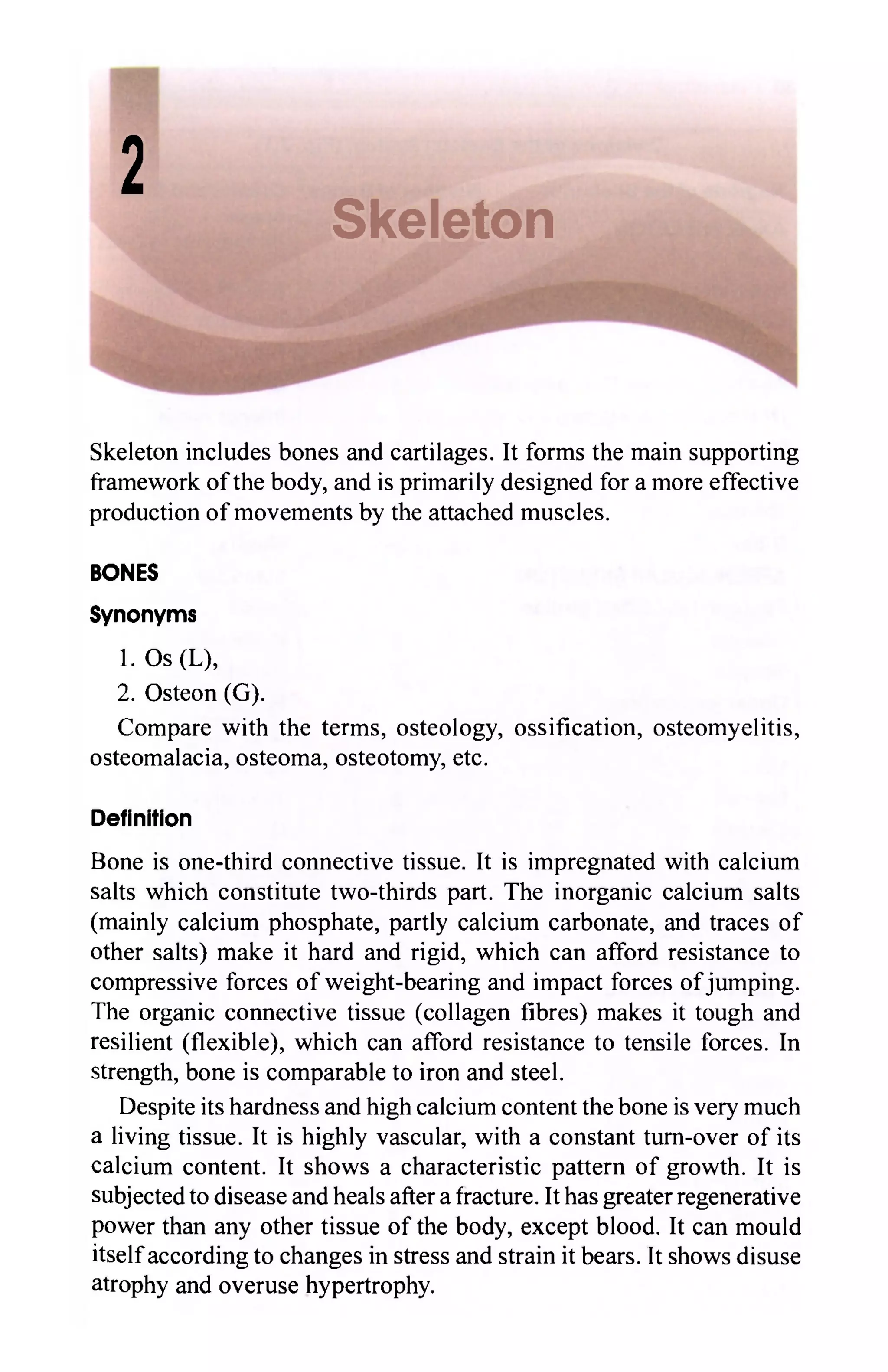 General anatomy | PDF