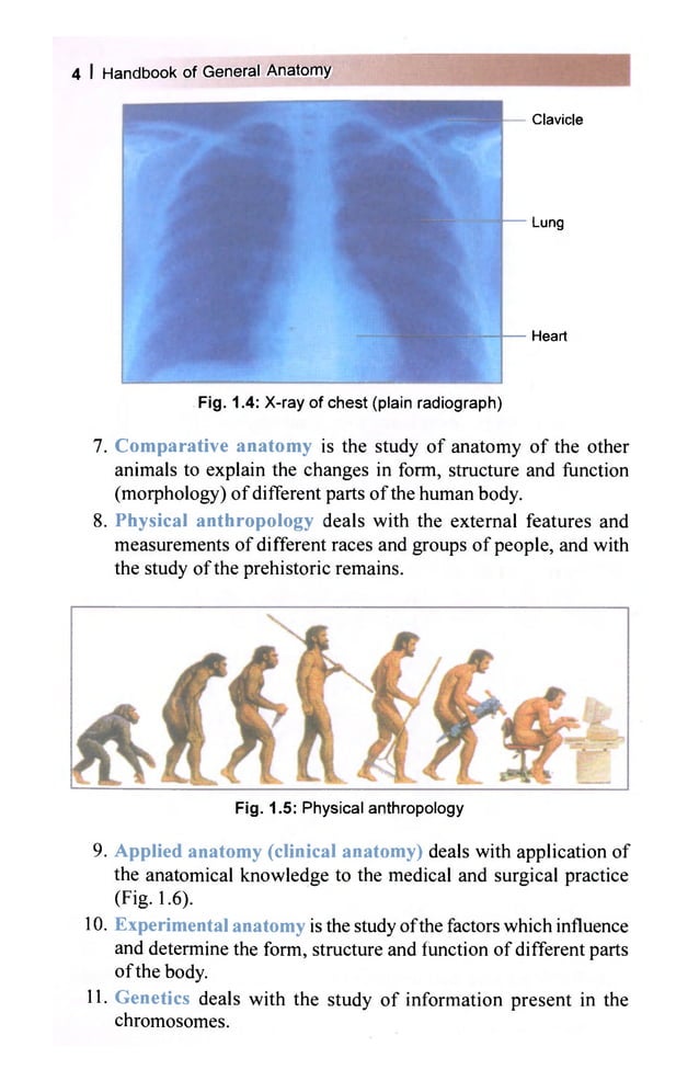 General anatomy | PDF