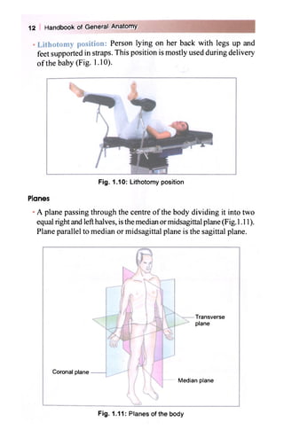 General anatomy | PDF
