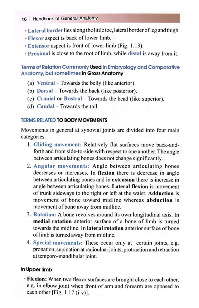 General anatomy | PDF