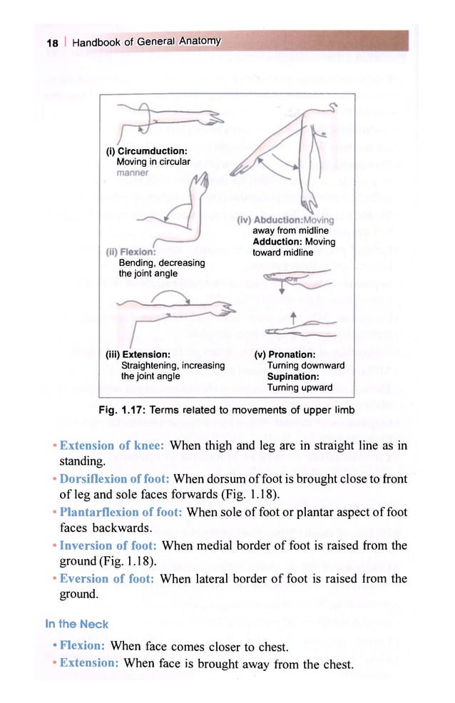General anatomy | PDF