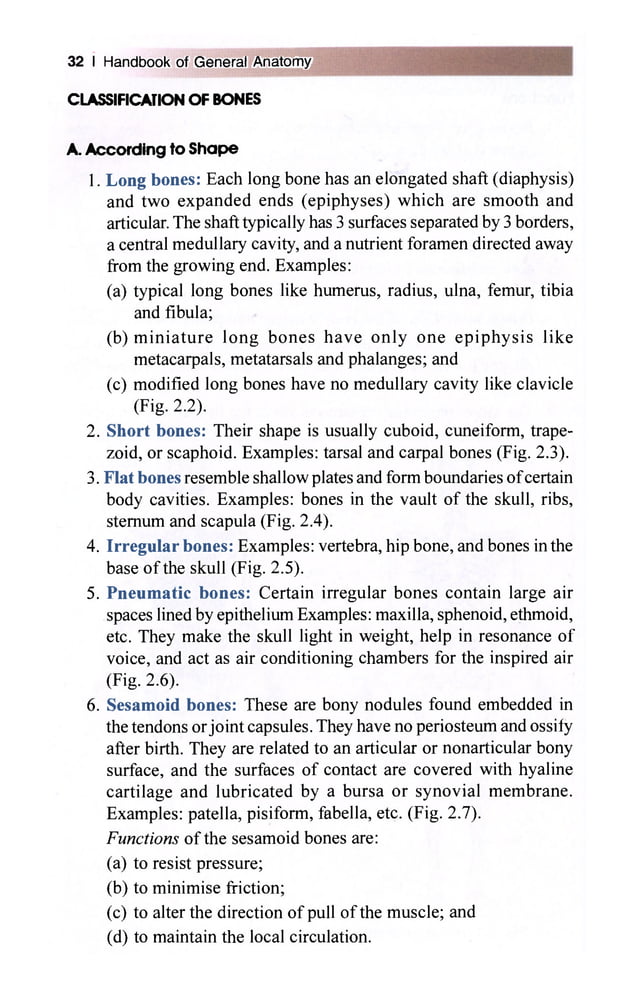 General anatomy | PDF