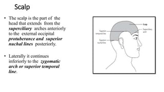 GENERAL ANATOMY.pptx
