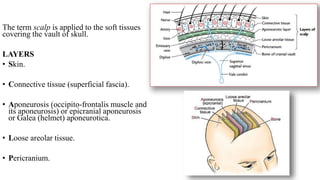 GENERAL ANATOMY.pptx
