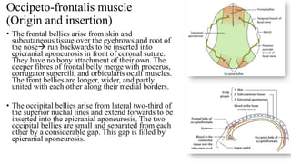 GENERAL ANATOMY.pptx