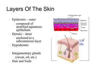 General anatomy 2 pathshalla | PPT