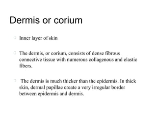 General anatomy 2 pathshalla | PPT