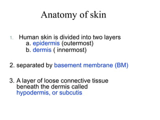 General anatomy 2 pathshalla | PPT