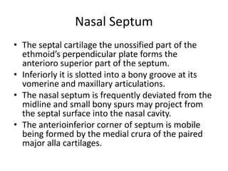 General anatomy 18 | PPTX