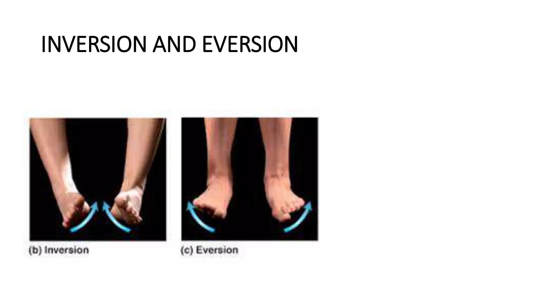 GENERAL ANATOMY (3).pptx