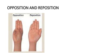 GENERAL ANATOMY (3).pptx