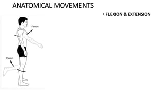 GENERAL ANATOMY (3).pptx
