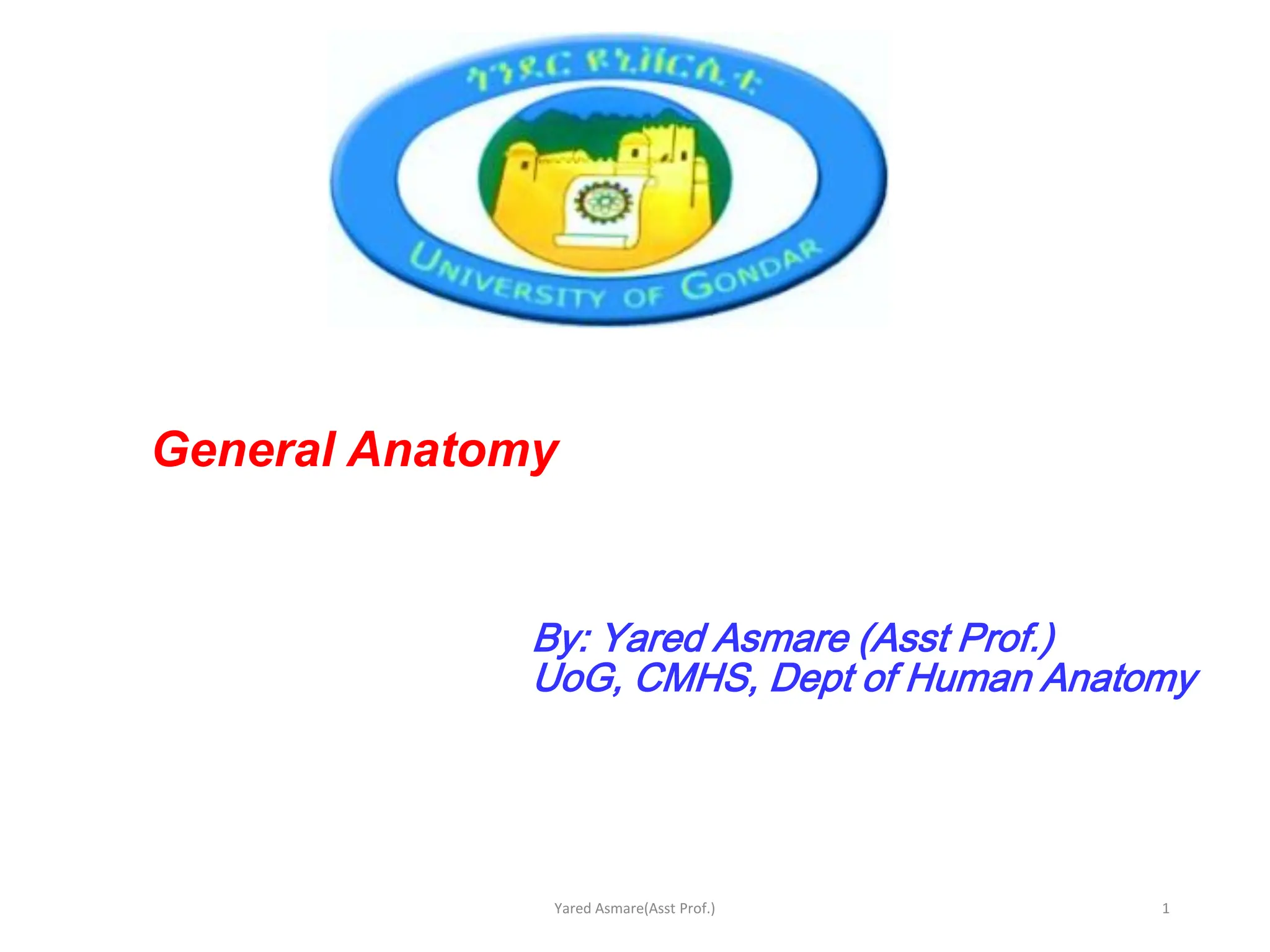 General Anatomy IN DETAIL 4Med Stdss.pdf