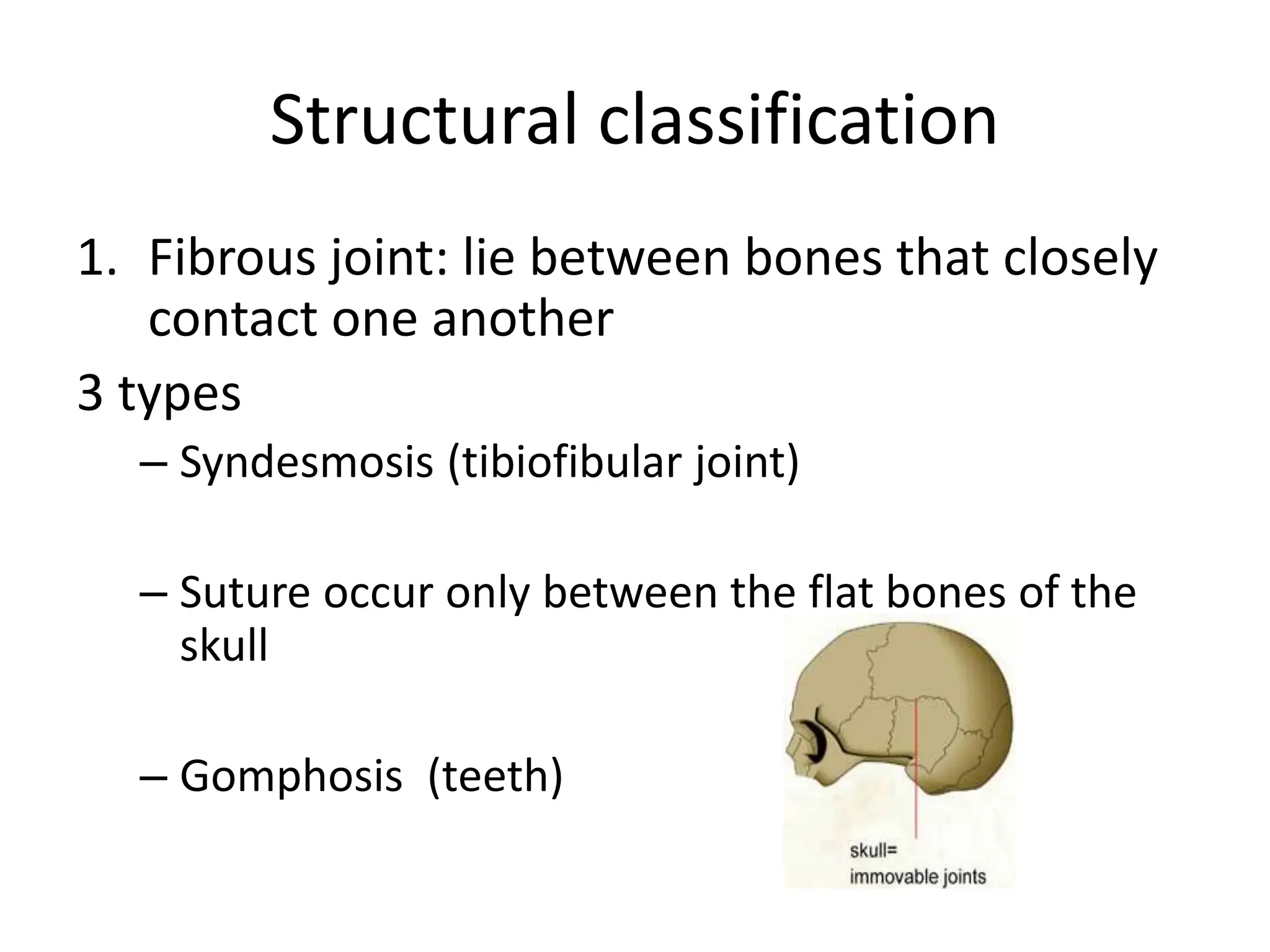General anatomy and physiology bones.pptx