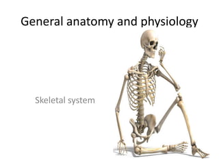 General anatomy and physiology bones.pptx