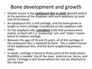 General anatomy and physiology bones.pptx